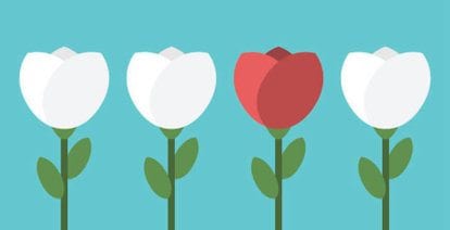 Material Design vs. Flat Design: What’s the Difference?