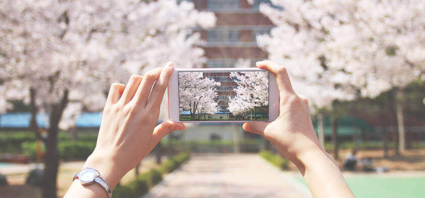 Vine 2: Will it Live Up to the Hype?